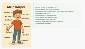 Körper – Deutsch A1 mit Bildern, Texten und Übungen